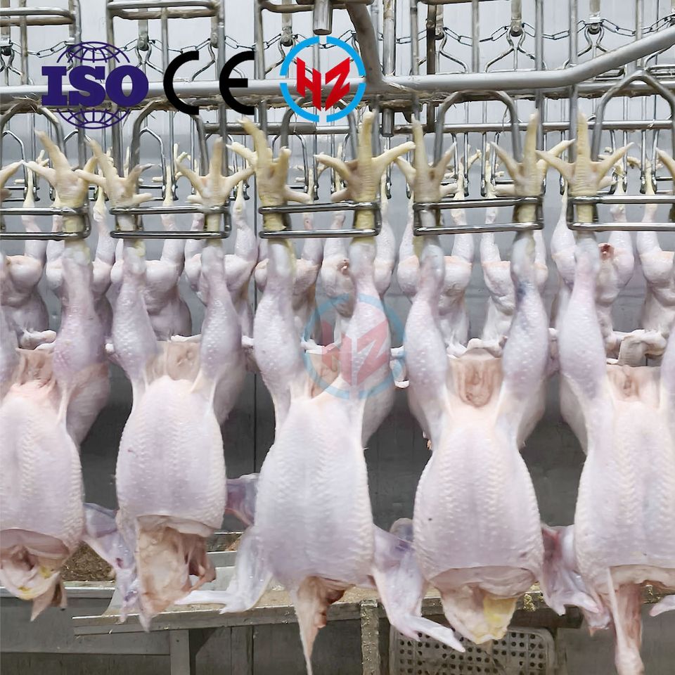 300-15000BPH Efficient Halal Compliant Motor Bearing Cartridge Ducks ...