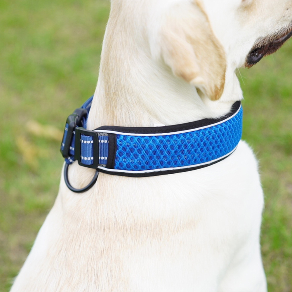 How to Choose the Best Reflective Dog Collar for Safety & Comfort