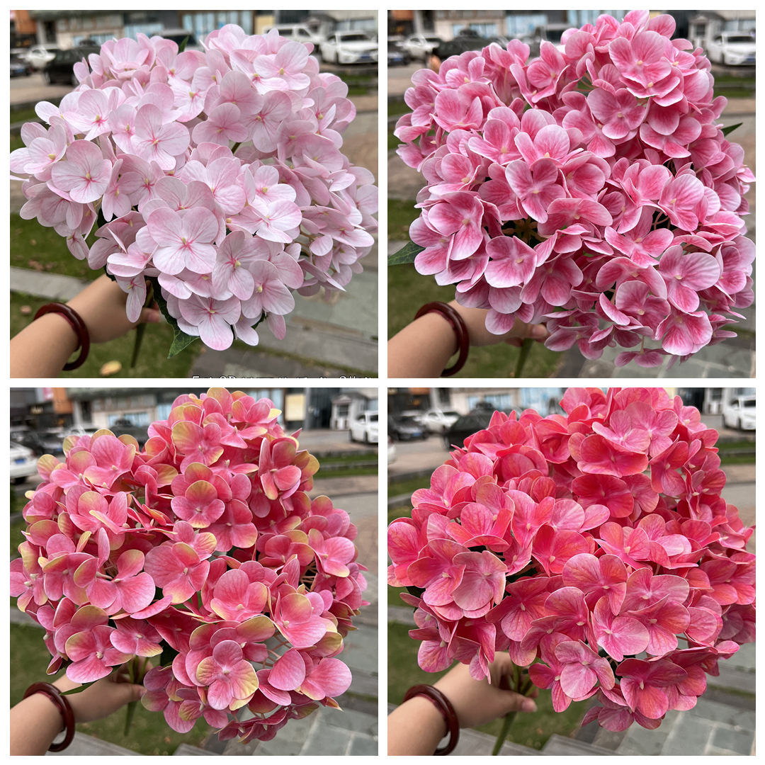 How to Choose Red Hydrangea Bulk for Landscaping and Floral Design