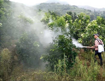 Efficient Pesticide Spraying with Joyance Double Tube Pulse Sprayer