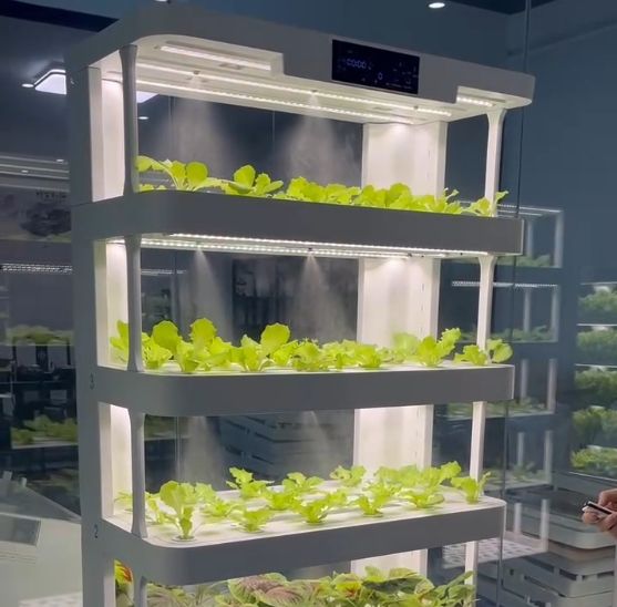 Hydroponic System with Spray Vegetables Planting Machine