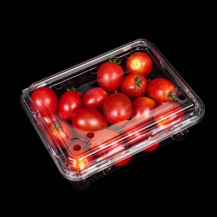 Clear Plastic Fruit Containers - Durable & Recyclable