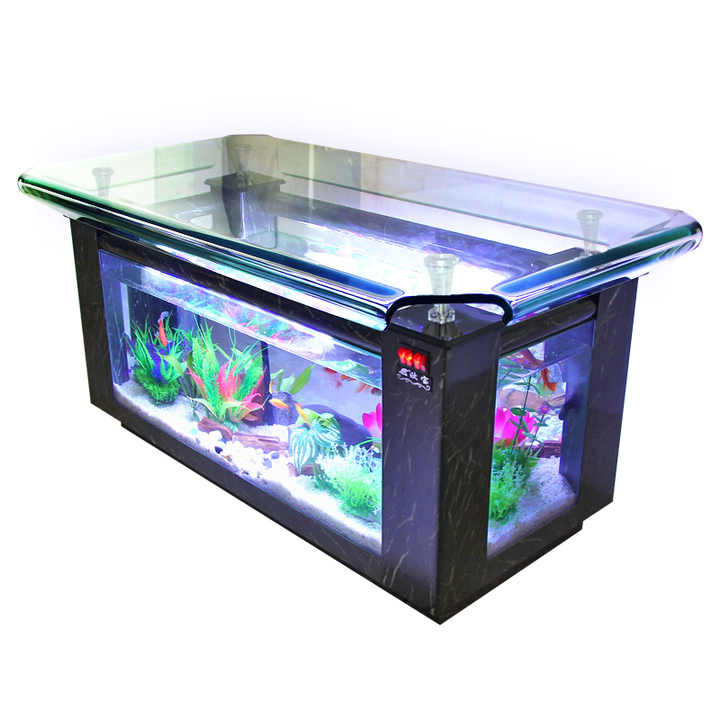 High Quality Fish Tank for Living Room - Sustainable & Stocked