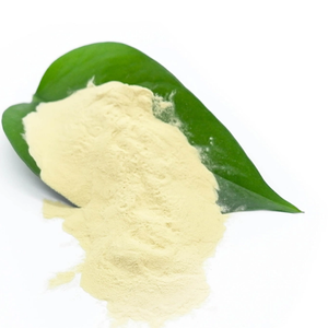 The Healing Power of Lycopodium Powder for Your Health - Alibaba.com