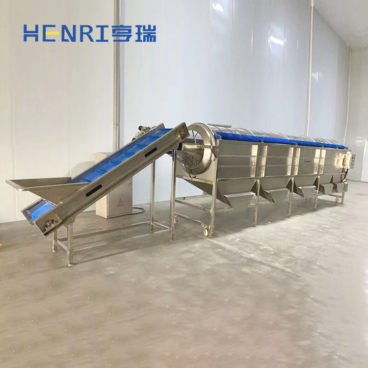 Automatic Drum Type Vegetable and Fruit Sorting Machine Onion Mango ...