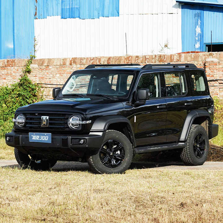 2023 2024 Great Wall Gwm Tank 300 - Hybrid SUV Phev Version