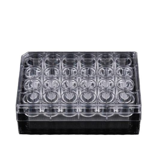 8um PET Membrane 12-Well Transwell Inserts for Cell Culture