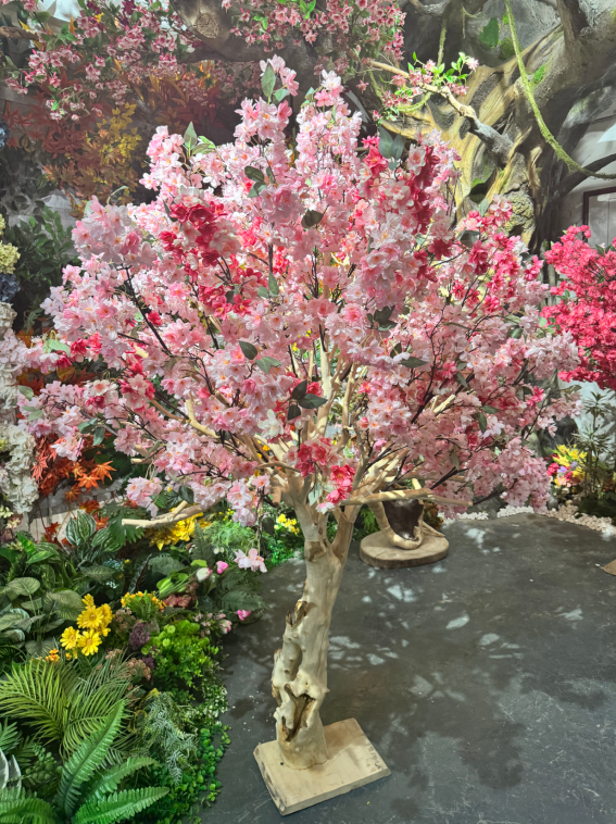 How to Choose the Best Rowan Tree for Your Garden: A Complete Buying Guide