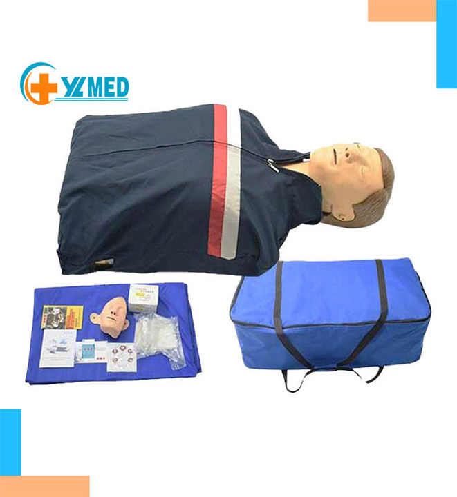 Skeleton Model Anatomy CPR First Aid Training Manikin Body Model Rubber ...
