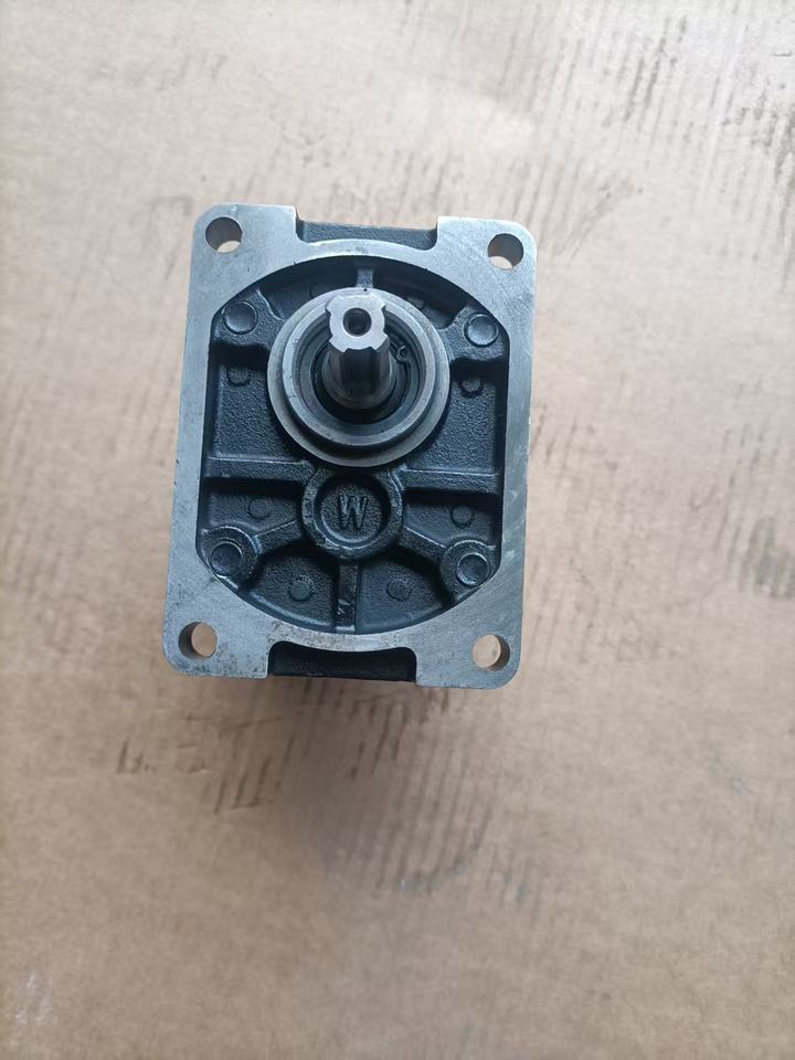 Hydraulic Gear Pump CBN-G304 CBN-G306 CBN-G310 CBN-G320-CFHL Oil Pump