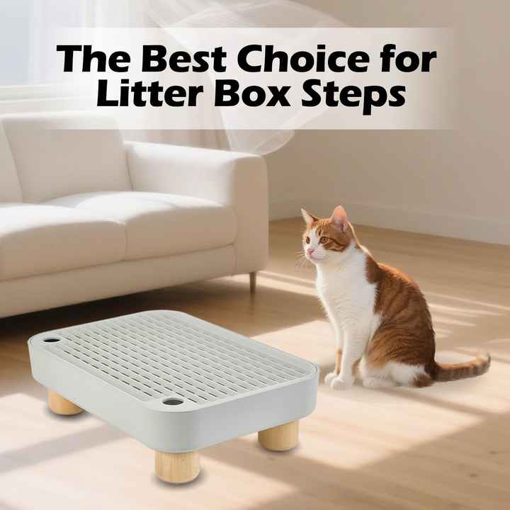 Wholesale Elevated Cat Litter Box Step with Filter Function for Kitten ...