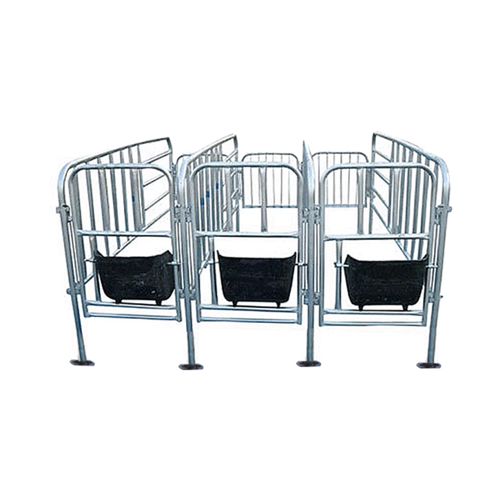 Optimal Piggery Facility for Pig Breeding & Rearing Pig Farming Crate ...
