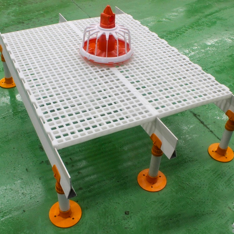 Wholesale Poultry Broiler Slat Floor Easy-To-Clean White Flooring ...