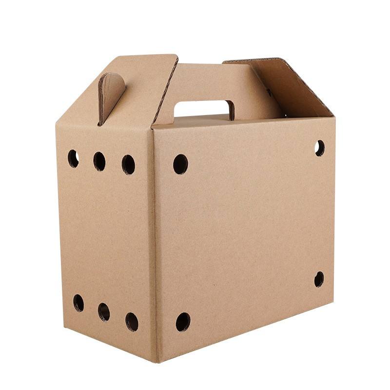 Custom Animal Cat Pet Transport Cardboard Carrier Box