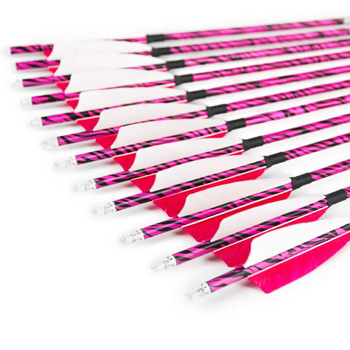 Pinals Archery - Precision Carbon Shaft Arrows for Hunting