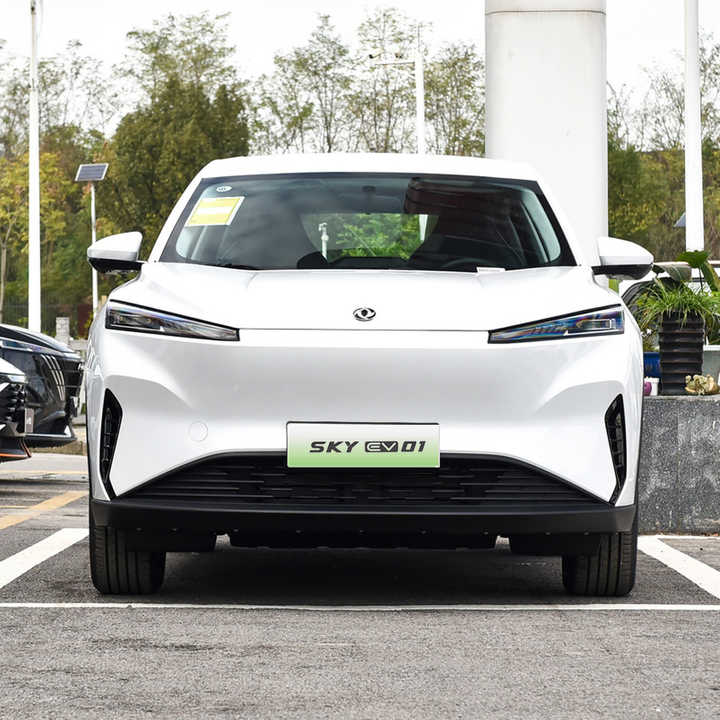 Prepayments Booking Dongfeng AEOLUS SKY EV01 New Energy Vehicles 5-door 5-seater Compact SUV 100 ...