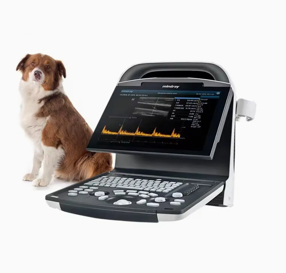 DP-10Vet Portable Veterinary Ultrasound Machine with 12.1" LED Screen ...