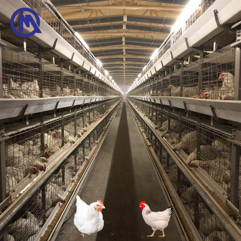 QIANMU H Type Chicken Cage Layer Chicken Cages Bird Farm Use Multi ...