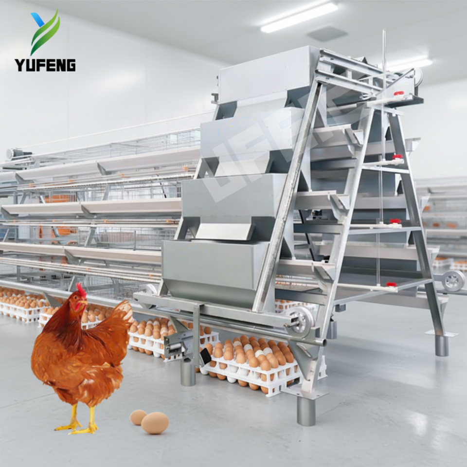A-Type Chicken Cage for Farms Egg Layer Chicken Cage Poultry Equipment ...