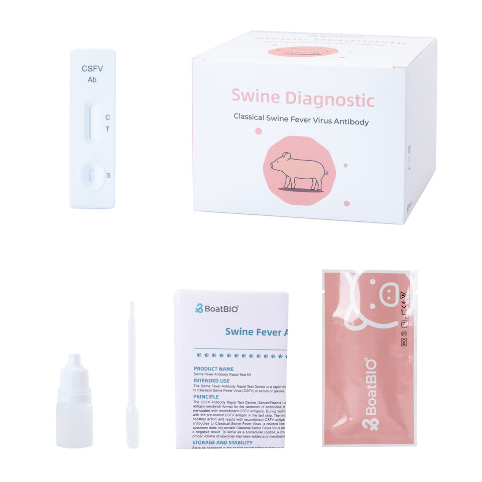 Veterinary Disease Pig Rapid Test Card CSFV AB Lateral Flow Kit