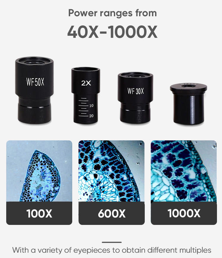 Custom Binocular Laboratory Microscope Adjustable Biological Stereo ...