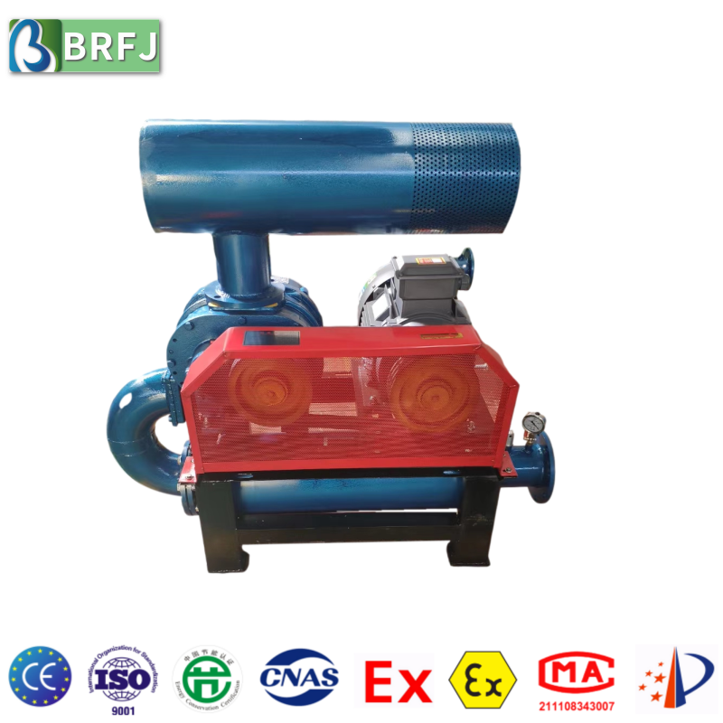 High-pressure Electric DC Motor Roots Blower High-volume High ...
