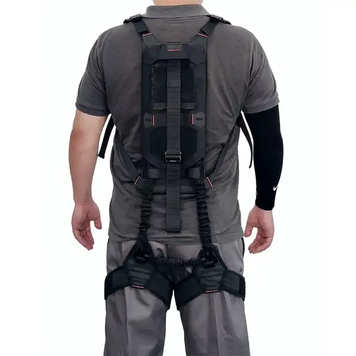 Wearable Waist and Abdominal Exoskeleton Robot Exoskeleton