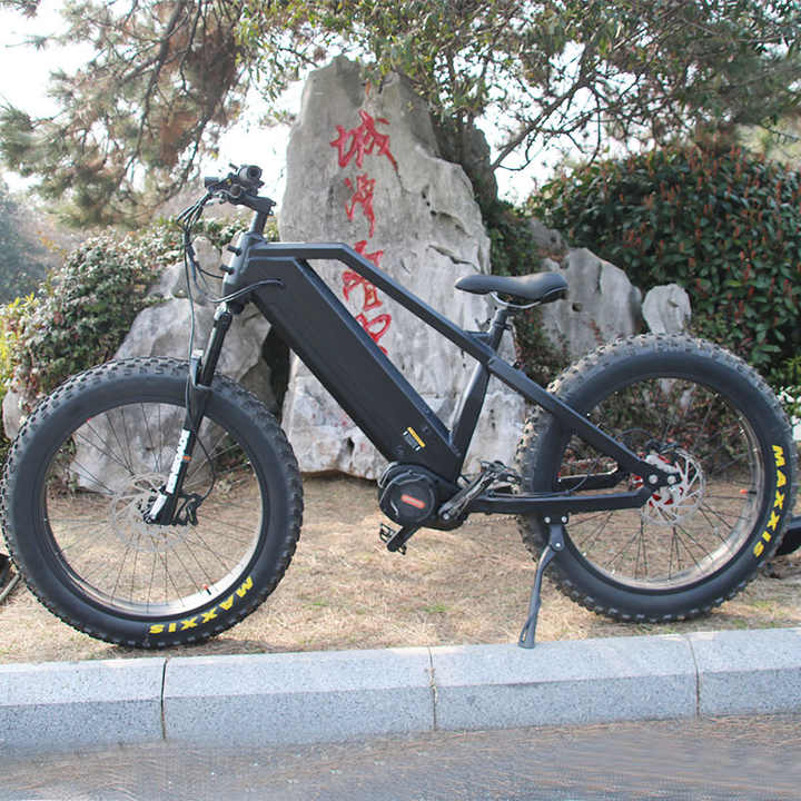 Chinese Bafang 1000W Mid Drive Ebike with 5 Gears & Li Battery