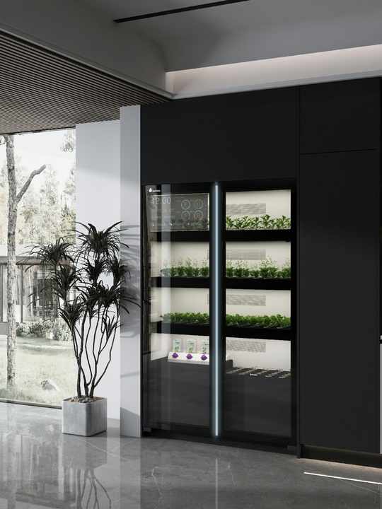 Home Vegetable Growing System Intelligent Modular Hydroponic System ...