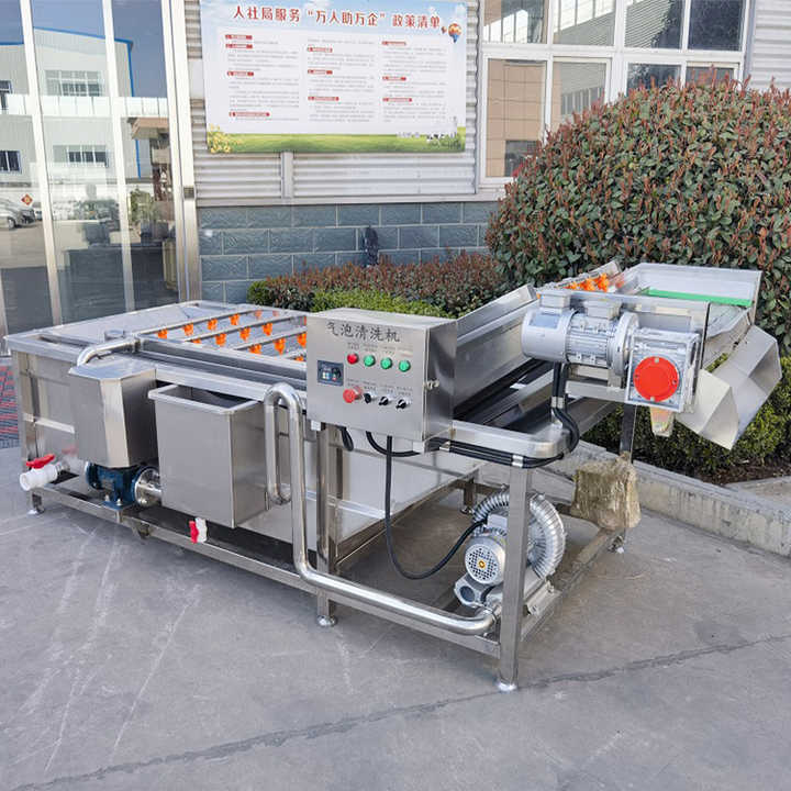 Automatic Tilting Dump Type Bubble Conveyor Belt Washing Machine Roof ...