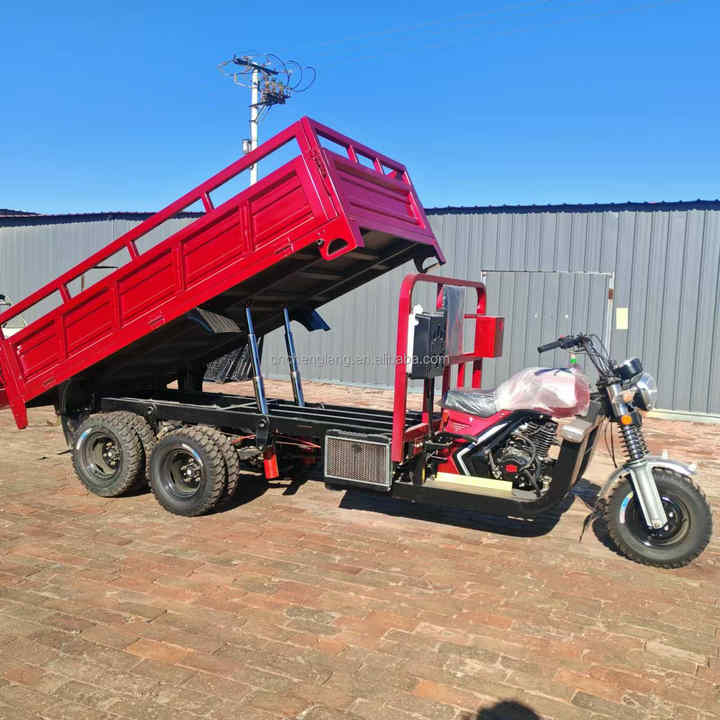 350cc Engine Motorized Dump Cargo Motor Tricycle - 9 Wheels