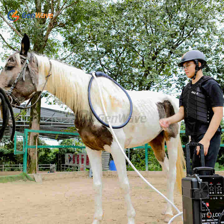 Portable Pemf Magnetic Therapy Device for Horse Rehabilitation