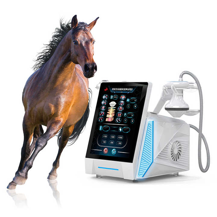 Veterinary Piezoelectric Focused Shockwave Physiotherapy Medical Device ...