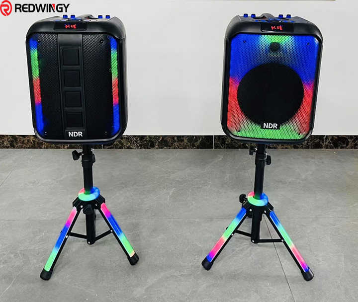 Redwingy NDR-102B 12inch Trolley Speaker - High Power Subwoofer Box for ...