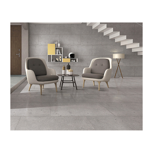 Wholesale matt finish homogeneous tiles For Traditional And Modern ...