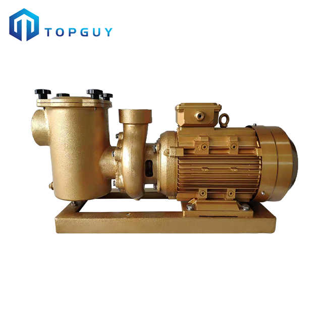 Topguy BP30 BP Series 3HP Electric Water Treatment Pump Set for ...