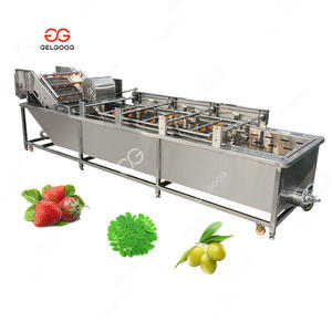 Efficient and Reliable moringa leaf washing machine for Your Processing ...