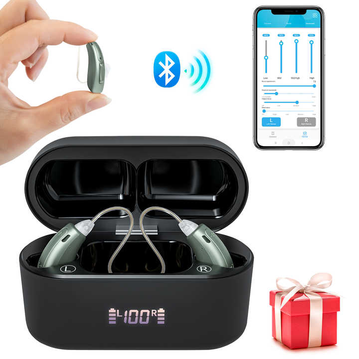 Best Competitive 16 Channels RIC Digital Hearing Aid - Rechargeable ...