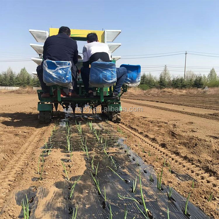 How to Choose the Best Hemp Seedling Machine: A Complete Buying Guide