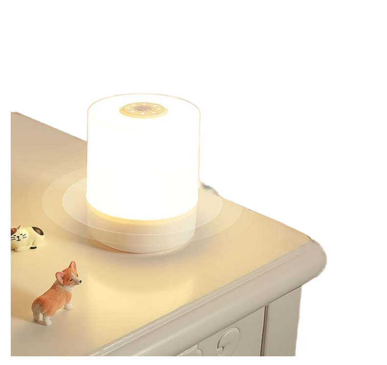 Portable Rechargeable LED Bedside Lamp for Kids and Adults Dimmable ...