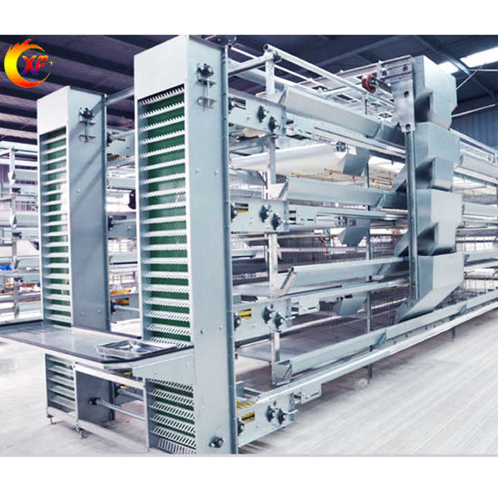 Full Automatic Poultry Farming Chicken Feeder Line H Type 3 - 8 Tier ...