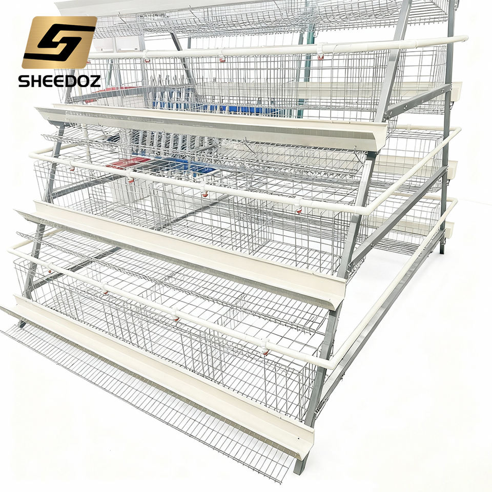 SHEEDOZ A-Type Layer Chicken Breeding Cage Hot Dip Galvanized Steel 96 ...