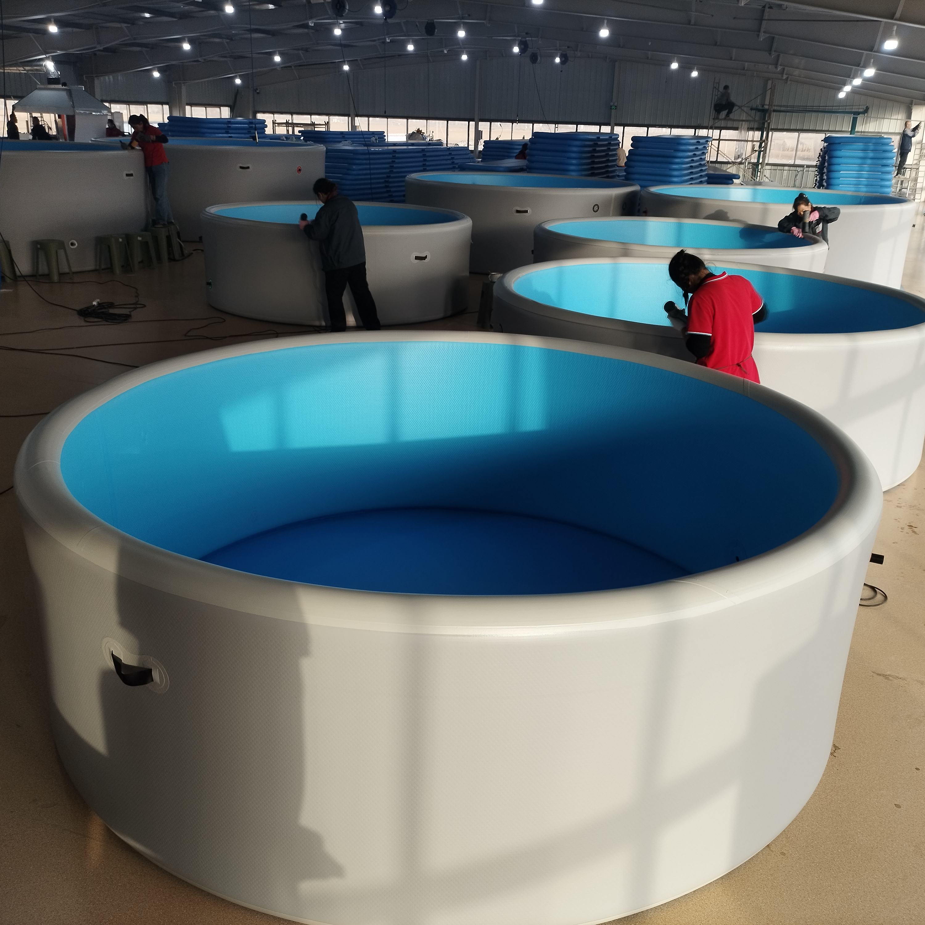 How to Choose the Best Swimming Pool Giant for Your Backyard