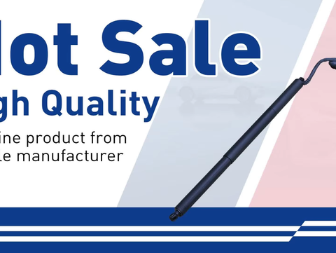 公司概述 - Guangzhou Womala International Trade Co., Ltd.