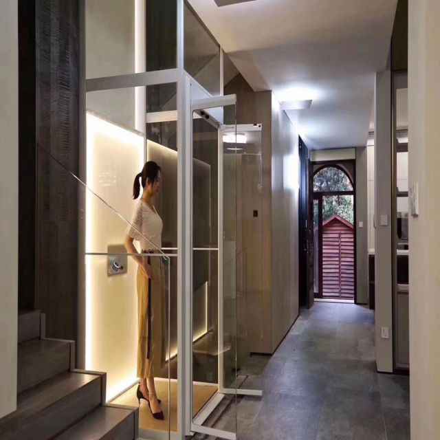 Cheap 200kg Traction Home Elevator Lift Price Stainless Steel 304 3 Stop Villa Elevator