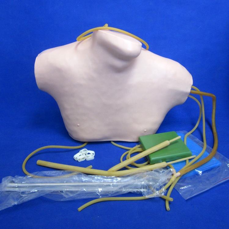 CVC Torso Manikin - Realistic Training for Central Venipuncture
