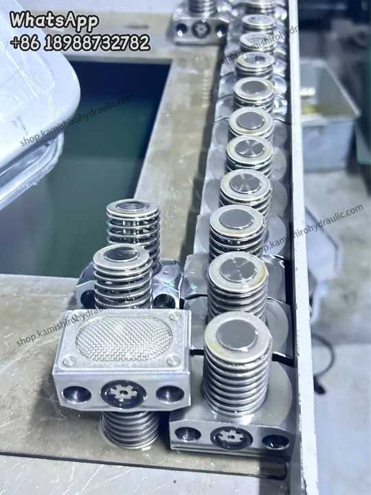 Hydraulic Pump Element PE10, PE12 Hawe Radial Piston Pump PE Element ...