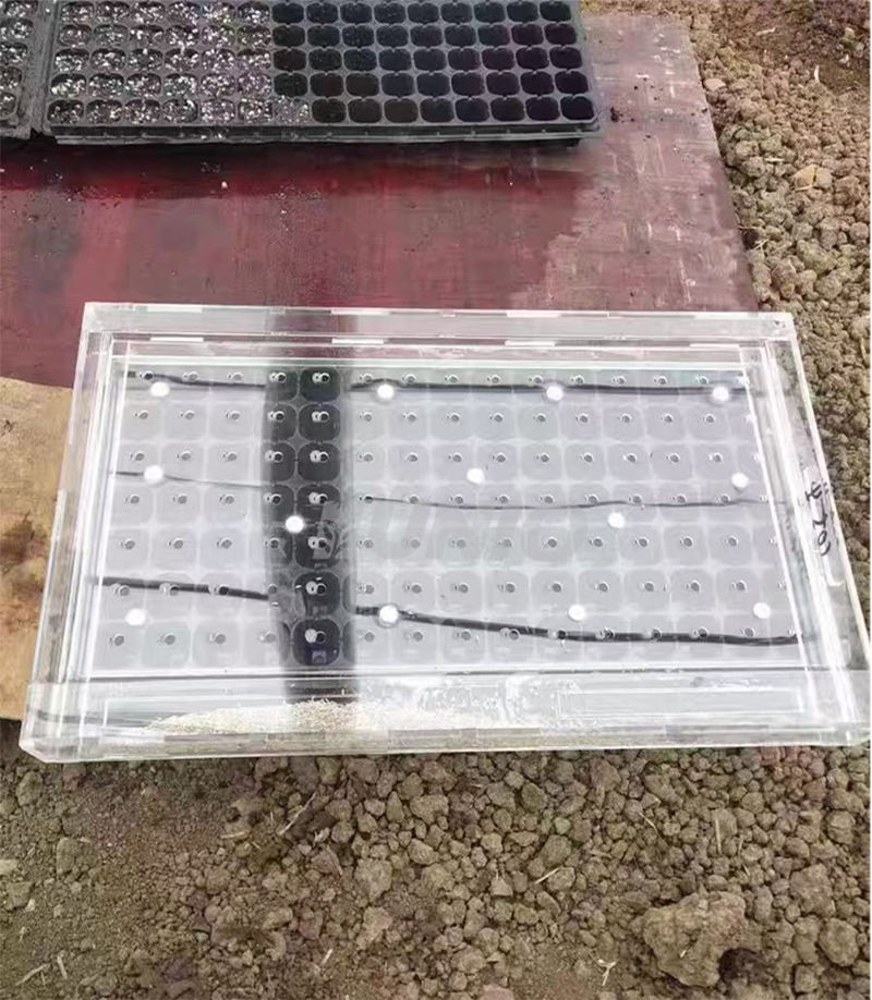High Quality Manual Seedling Tray Seeder - Customizable