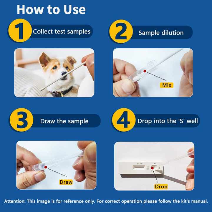 CCV Antigen Rapid Test Kit for Pet| Alibaba.com