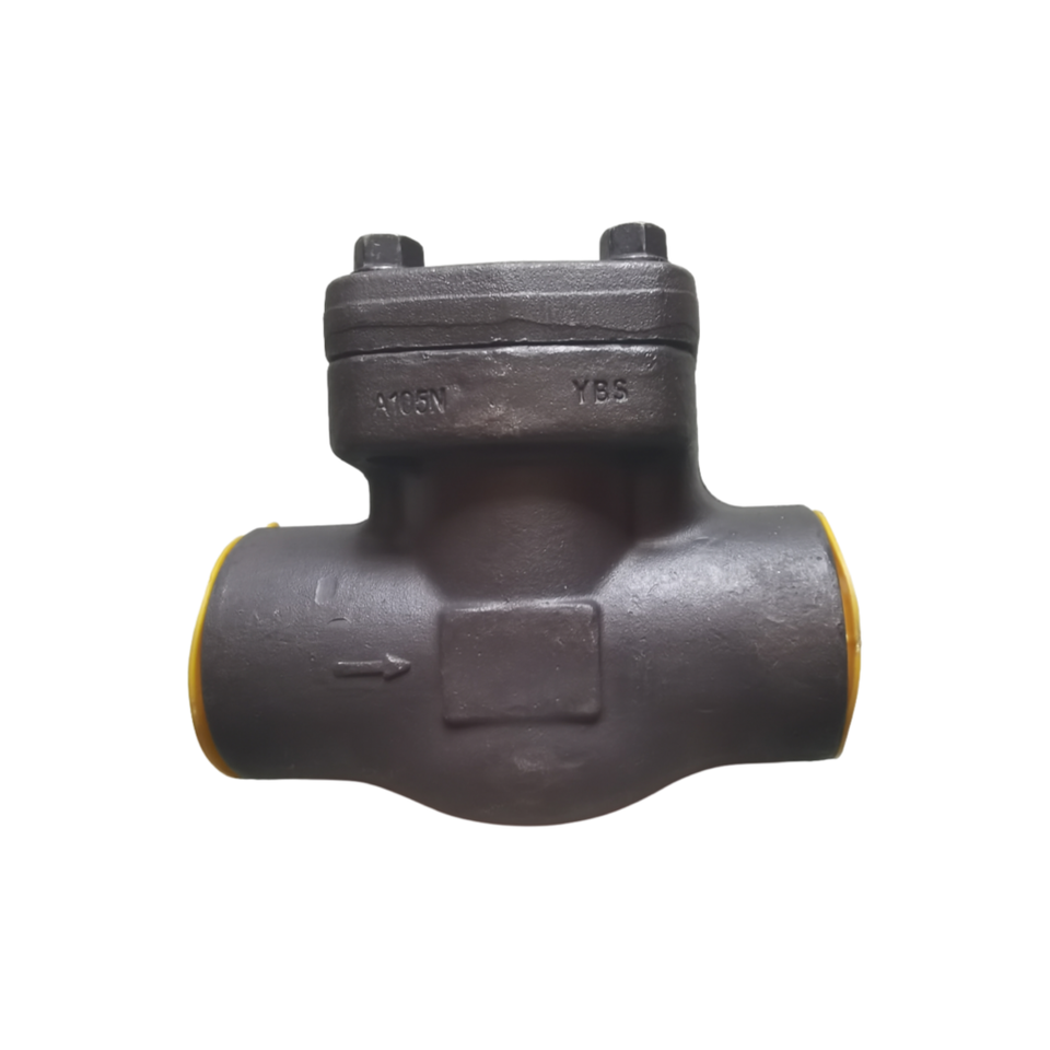 DN 50 Welded Threaded Check Valve High Temperature and High Pressure ...